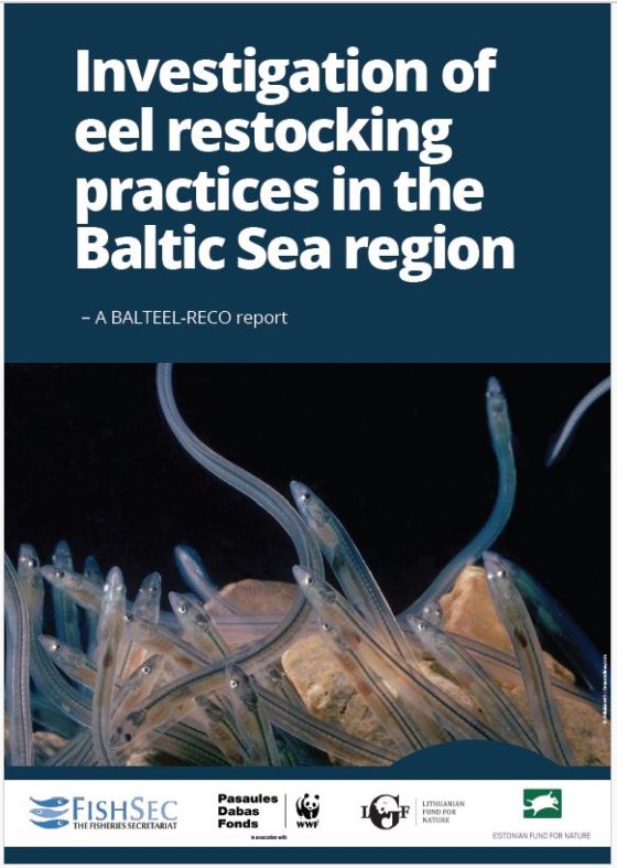 Instagram links – FishSec