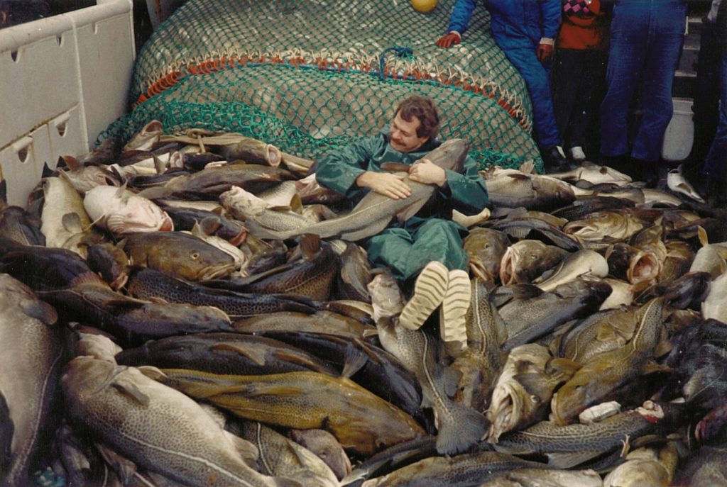 Baltic cod – FishSec