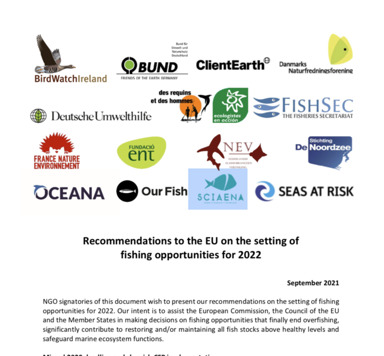 Joint NGO recommendations Northeast Atlantic fishing opportunities 2022 – FishSec