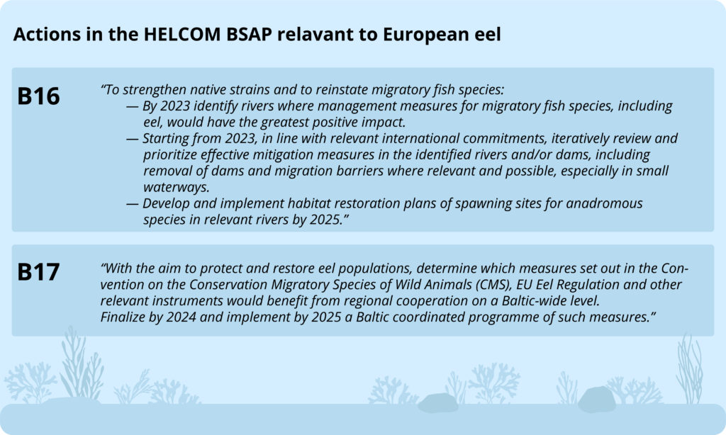 Regional Management – FishSec