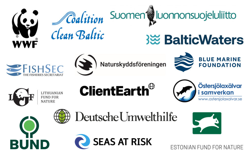 Joint NGO recommendations on Baltic Sea fishing opportunities for 2025 – FishSec